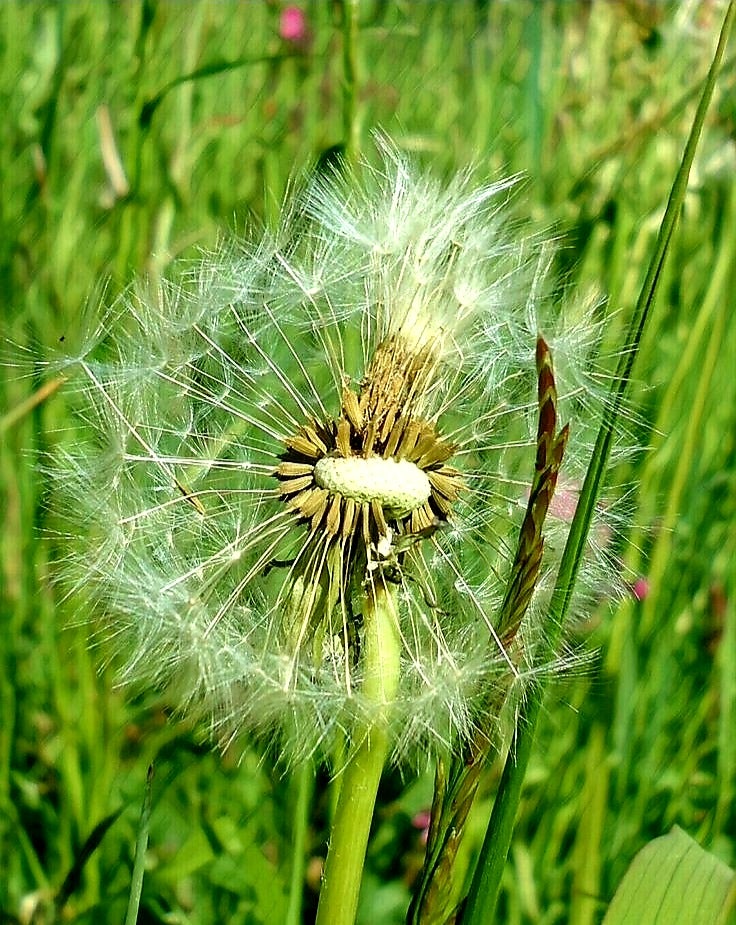 아버지의 눈물 : 네이버 블로그