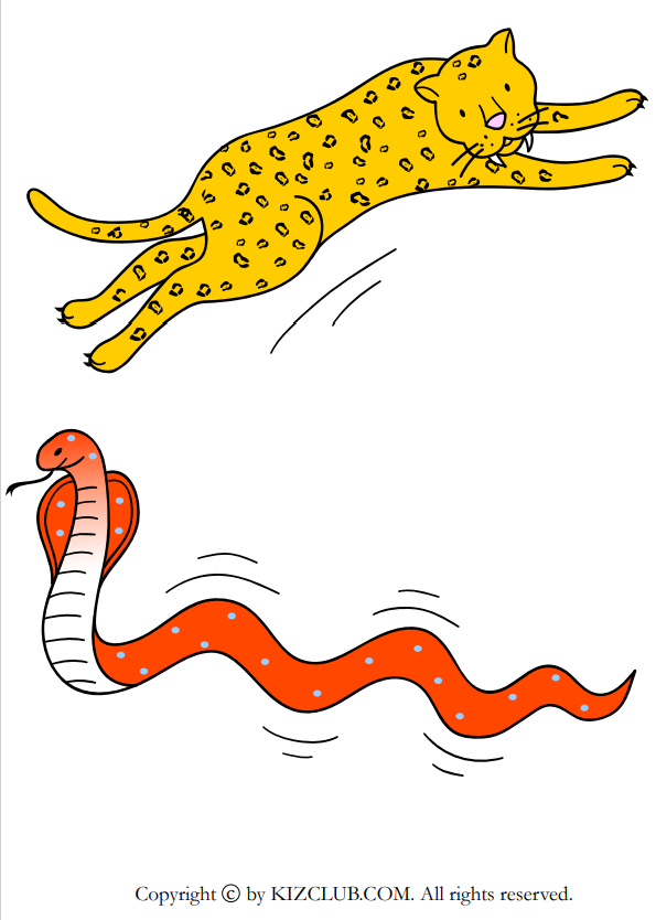 (영어 동화책) The Animal Boogie! (Debbie Harter)[6,7세] 영어수업, 스토리텔링 : 네이버 블로그