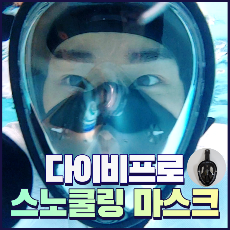 다이비프로 New 익스트림 풀페이스 스노쿨링 마스크 네이버 블로그