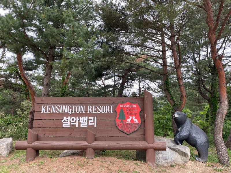 속초 강아지 호텔 켄싱턴리조트 설악밸리 로얄스위트 베른 1박 네이버 블로그