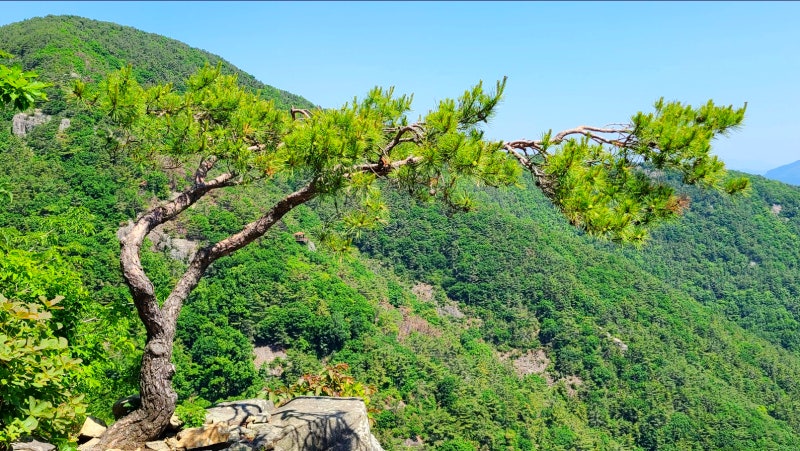 마산 무학산 등산코스 지도 산행하기 딱 좋은데이 네이버 블로그