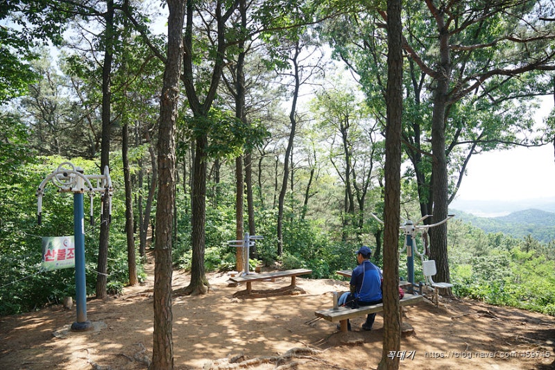 평택 가볼만한 산 무봉산 208m 둘레길 등산코스 로 주차장 산성 네이버 블로그