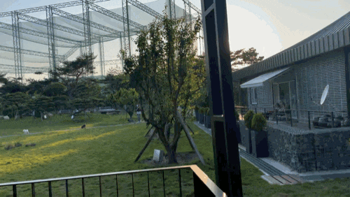 부산 기장 애견카페 애견운동장 장안숲 므로 추천 ️ 네이버 블로그