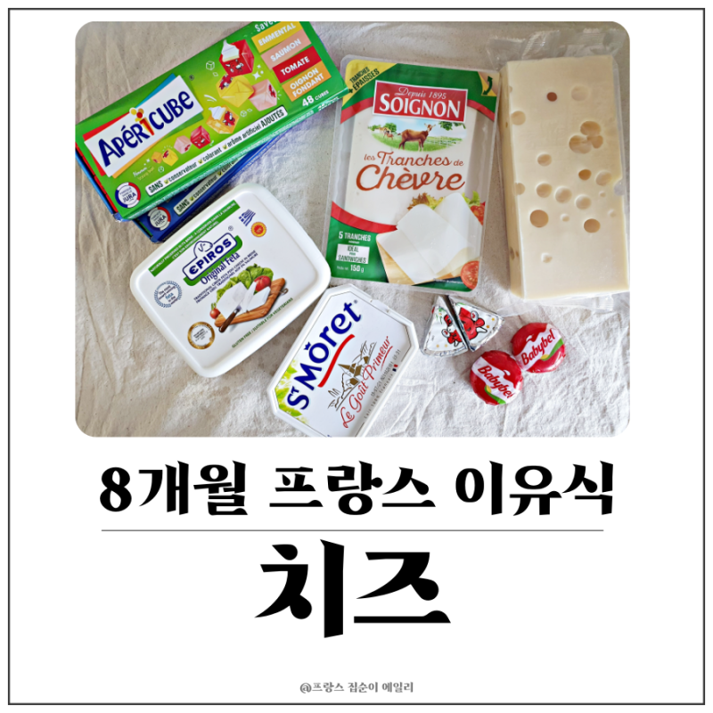 프랑스 이유식 8개월 아기 치즈 먹이기 개월별 추천 치즈 나트륨 함량 비교 하루 섭취량 주의사항 네이버 블로그