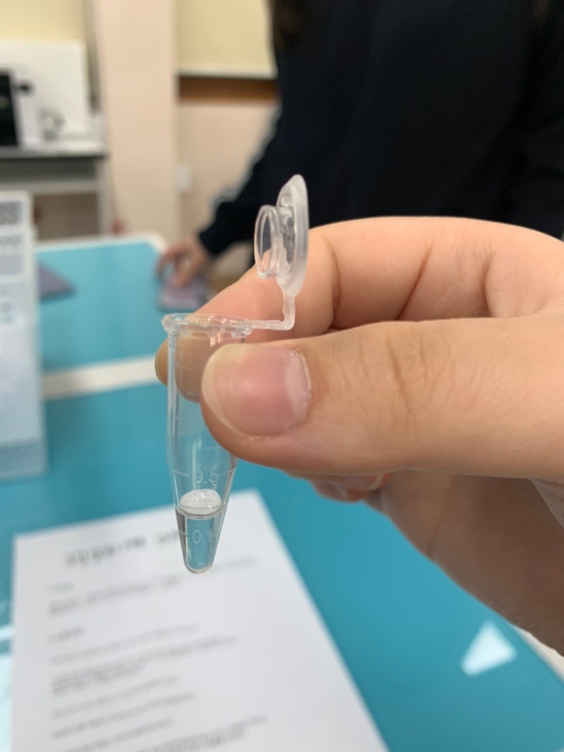 구강상피세포 Dna 추출 실험 네이버 블로그