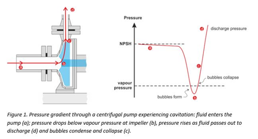 Centrifugal Pump NPSH margin과 NPSH3 : 네이버 블로그