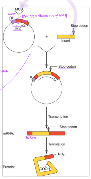 분생실 총정리 : 네이버 블로그