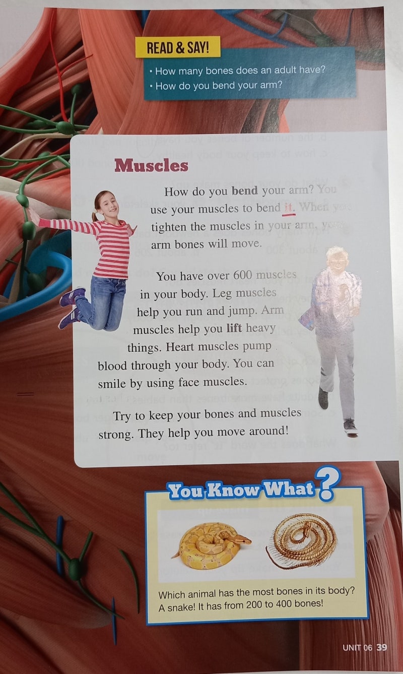 Bricks Reading 170 Nonfiction Level 1으로 공부할 때 hibricks.com 활용하는 법에 대해 ...