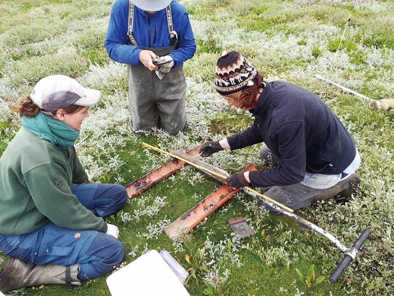 [커버스토리] 건강한 바다와 멋진 신세계 : 네이버 블로그