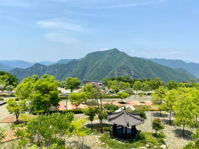강원도 정선 캠핑장 추천 동강전망자연휴양림 오토캠핑장 네이버 블로그