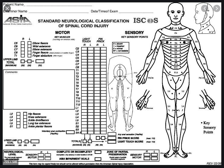 ISNCSCI( SCI-척수 손상 환자 신경학적 평가 방법) : 네이버 블로그