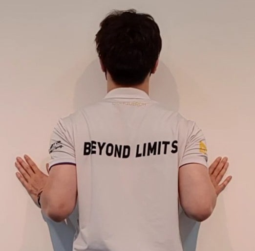 대흉근큰 가슴근pectoralis Major 기능 운동방법 통증 해결법 네이버 블로그
