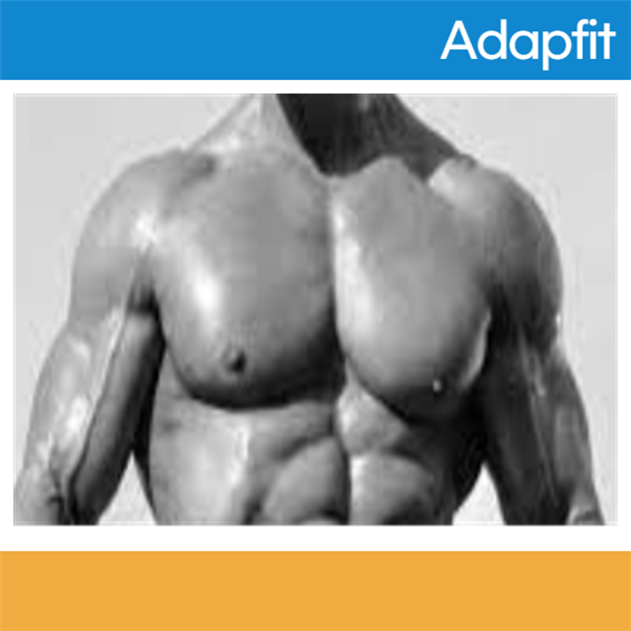 대흉근큰 가슴근pectoralis Major 기능 운동방법 통증 해결법 네이버 블로그