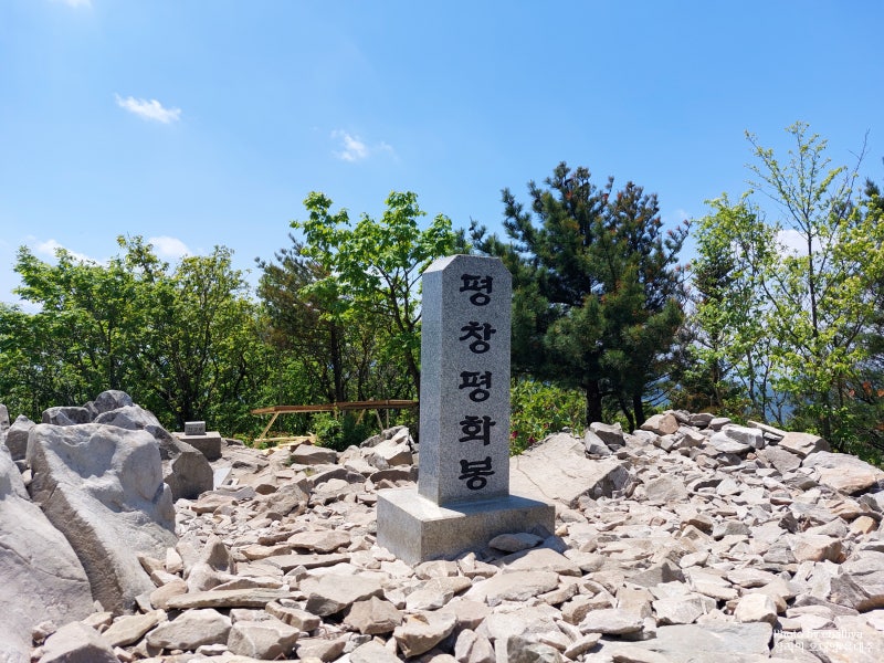 평창 발왕산 최단등산코스 케이블카타고 쉽게 오르기 네이버 블로그
