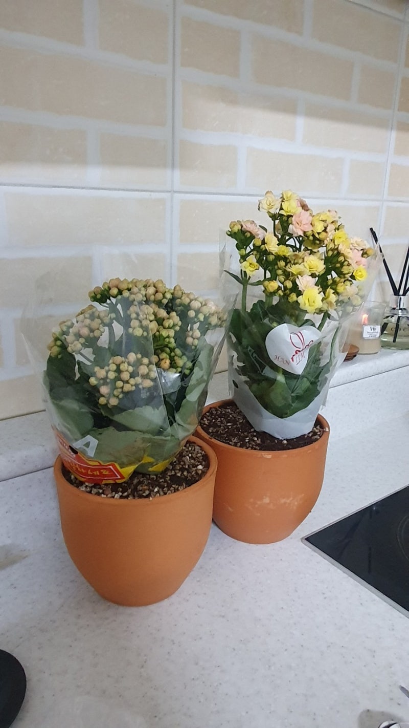 허짱이 나 맥인다 : 네이버 블로그