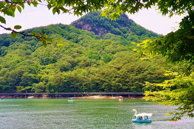포천 가볼만한곳 산정호수 지장산계곡 명성산ft 돌담병원 드라마낭만닥터김사부촬영지 네이버 블로그