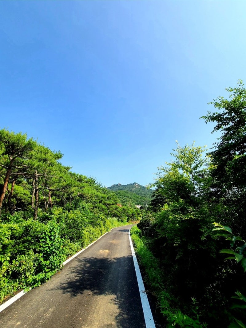 효부 이야기 : 네이버 블로그