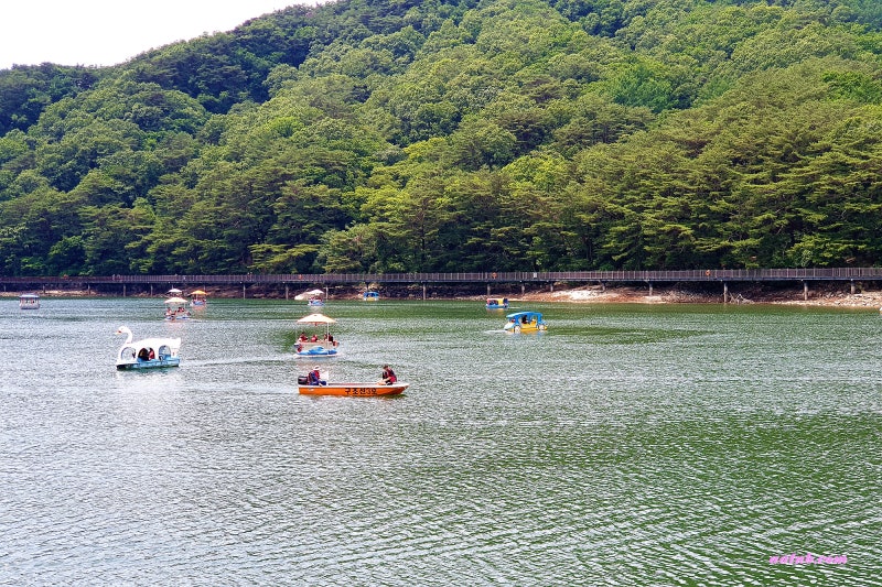 포천 가볼만한곳 산정호수 지장산계곡 명성산ft 돌담병원 드라마낭만닥터김사부촬영지 네이버 블로그