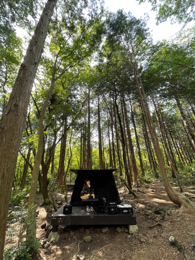 [백패킹기록] 한라산에서 캠핑이라니💛 서귀포 자연 휴양림 : 네이버 블로그