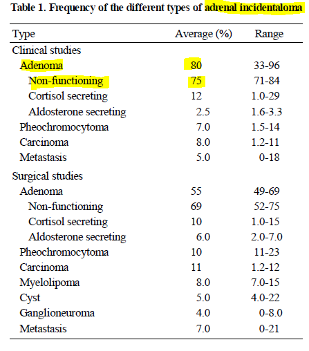 부신우연종adrenal Incidentaloma선종adenoma① 특징 악성소견 증상 네이버 블로그
