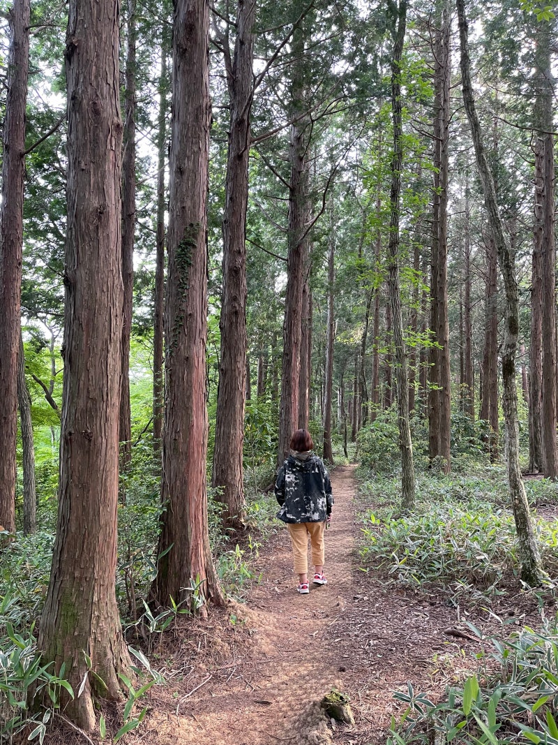 [백패킹기록] 한라산에서 캠핑이라니💛 서귀포 자연 휴양림 : 네이버 블로그