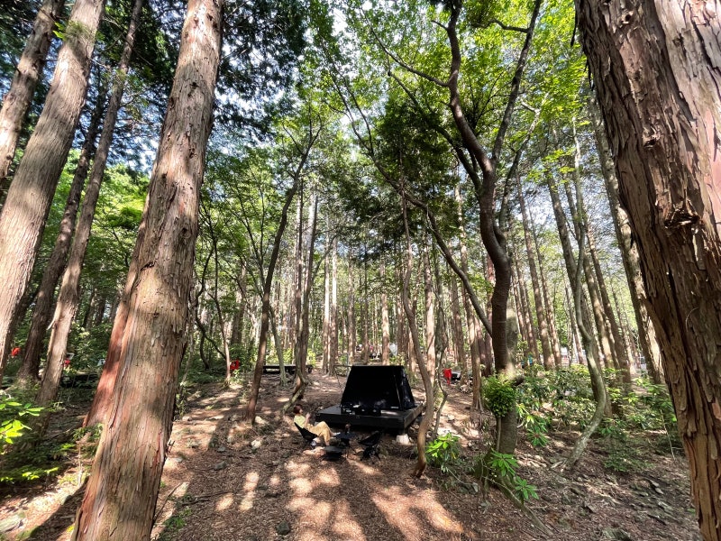 [백패킹기록] 한라산에서 캠핑이라니💛 서귀포 자연 휴양림 : 네이버 블로그