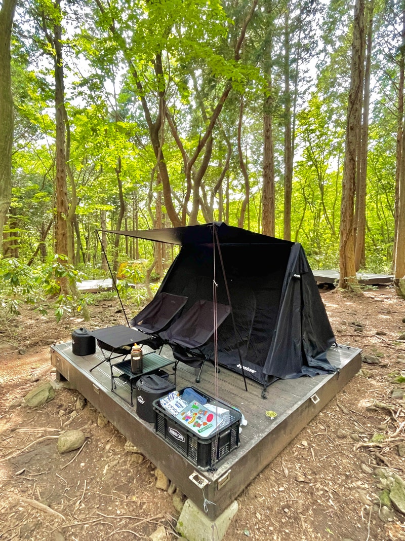 [백패킹기록] 한라산에서 캠핑이라니💛 서귀포 자연 휴양림 : 네이버 블로그