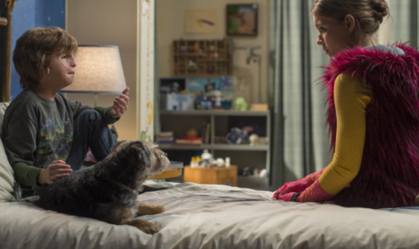 원서 읽기 - Wonder 원더 (Padawan 파다완) : 네이버 블로그