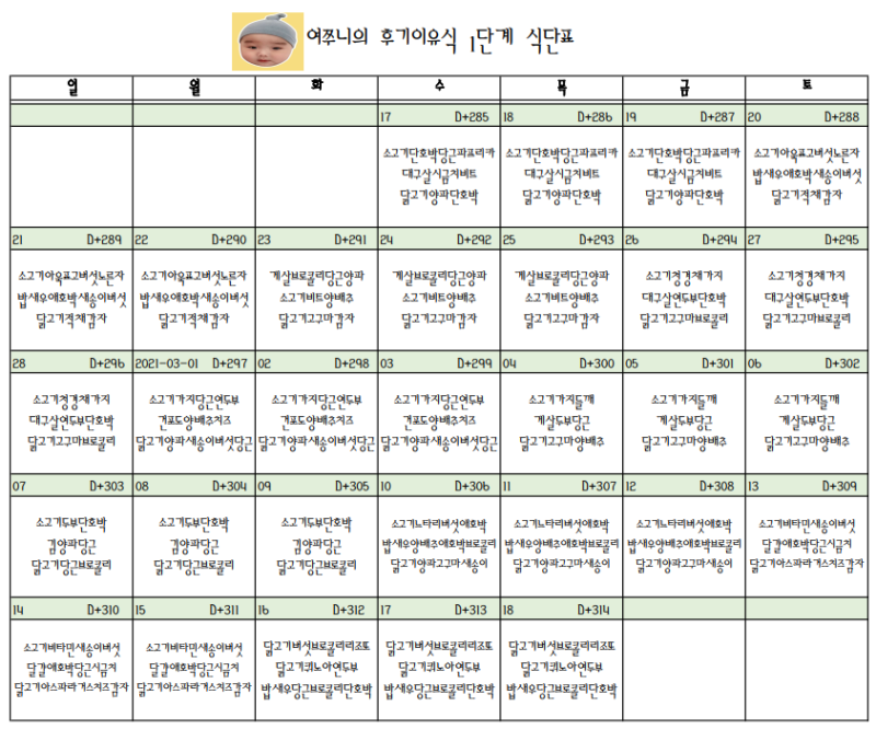 후기이유식1단계 완분아기 이유식 식단표후기이유식 식단표후기이유식 1단계후기이유식 식단표 공유 네이버 블로그