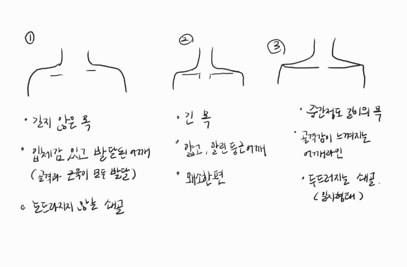 스트레이트 내추럴 타입 골격 큰 여자 코디 같이 알아가보는 팁 네이버 블로그