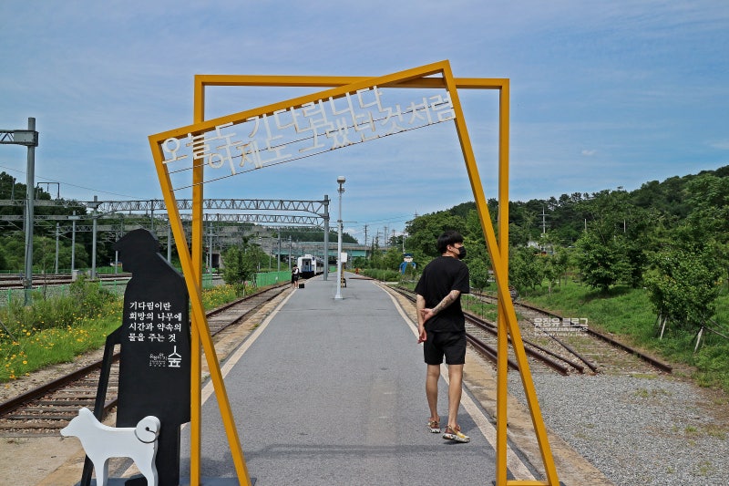 춘천 김유정역 휴무일 근처 가볼만한곳 모음 네이버 블로그