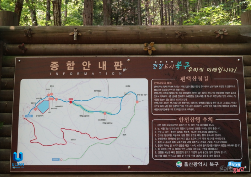 울산 편백나무숲 천마산 편백 산림욕장 피톤치드 가득 가득 네이버 블로그