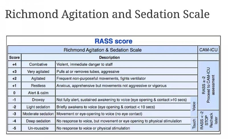 RASS(+CAM-ICU)& SAS : 네이버 블로그