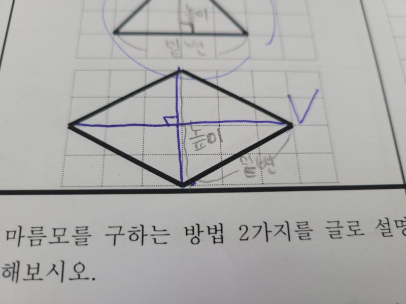 [5수학] 6. 다각형의 둘레와 넓이 (사다리꼴 넓이와 학생 오개념) : 네이버 블로그