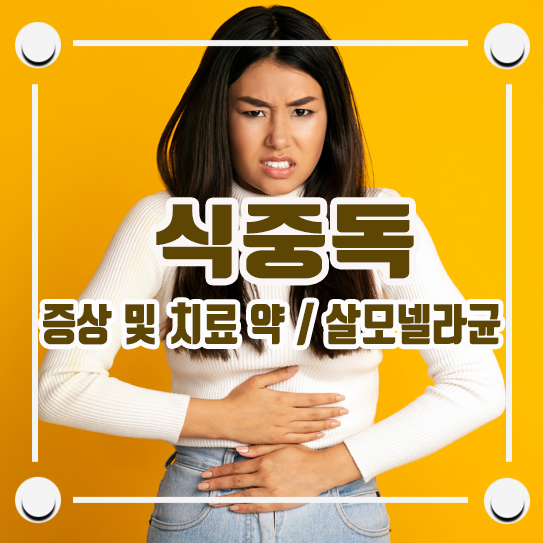 살모넬라 식중독 증상 및 치료 약 살모넬라균 네이버 블로그