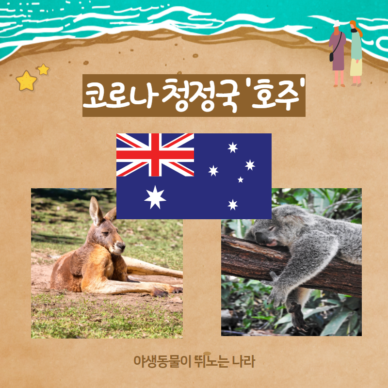 부모여행동의서 호주로 떠나는 여행 미성년자끼리도 걱정 없이 다녀오고 싶다면 네이버 블로그