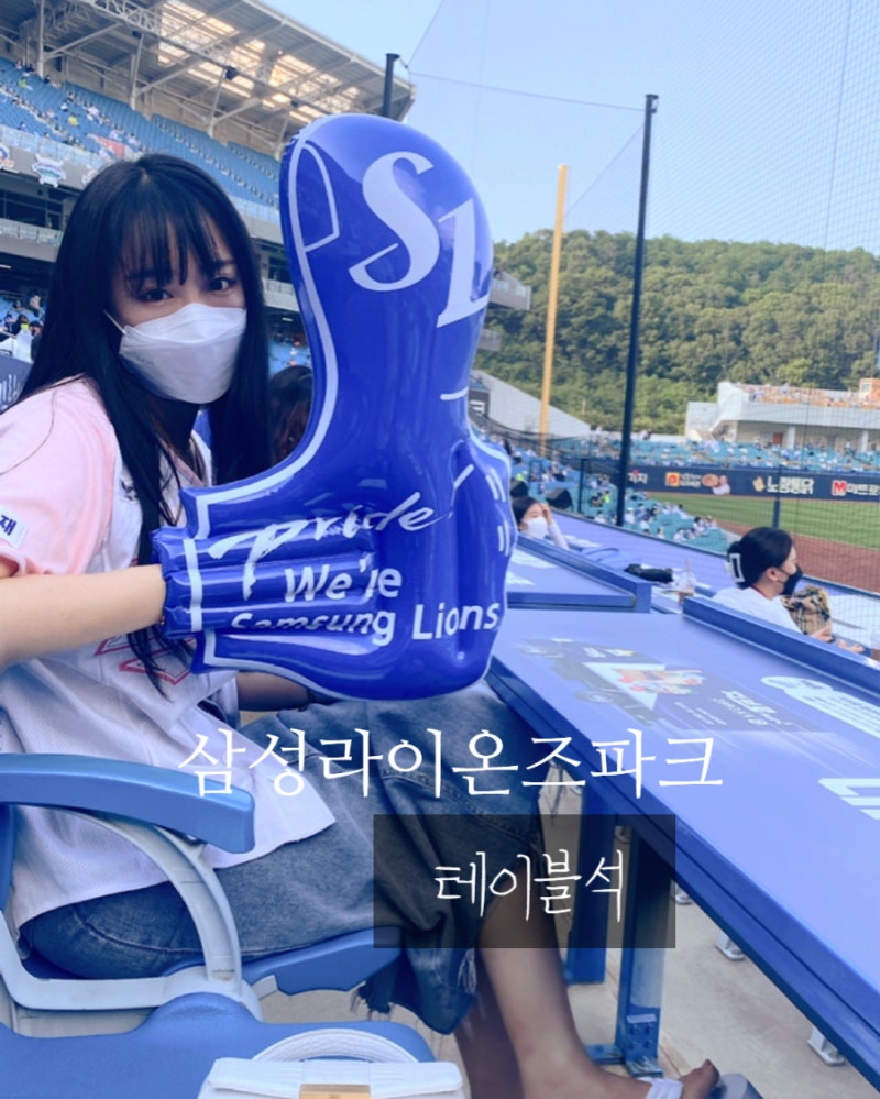 대구삼성라이온즈파크 지브로존 좌석꿀팁 취식여부 테이블석 관람 후기 Feat치킨빠진야구 네이버 블로그