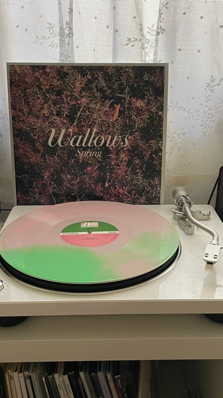 Vinyl : Wallows Spring 왈로우스 한정판 바이닐 후기 : 네이버 블로그