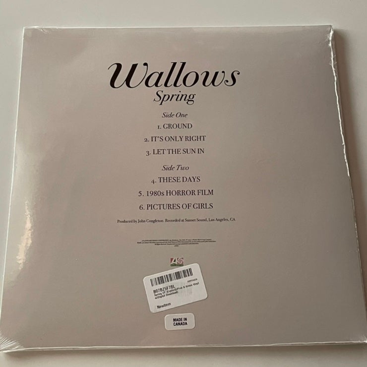Vinyl : Wallows Spring 왈로우스 한정판 바이닐 후기 : 네이버 블로그
