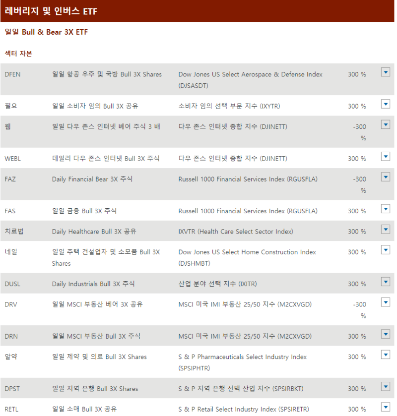 [미국주식] Direxion 디렉시온 Leveraged ETFs 레버리지 종류와 원리 : 네이버 블로그