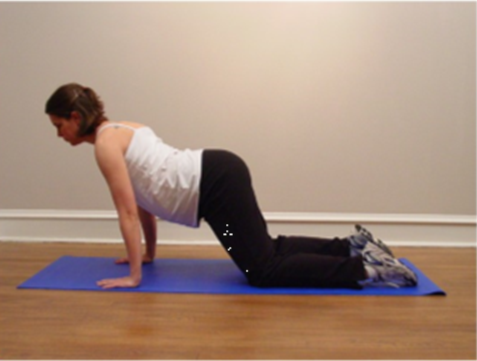 요추의 신전회전 증후군(Lumbar extension rotation syndrome) / 셜리샤먼#8 : 네이버 블로그