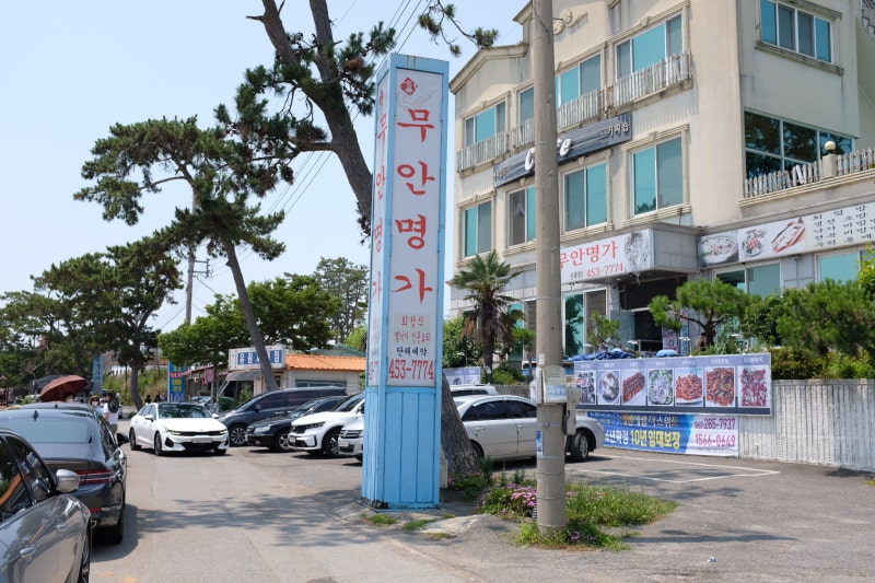 끊임없이 나오는 낙지코스 무안 낙지 맛집 무안명가 네이버 블로그