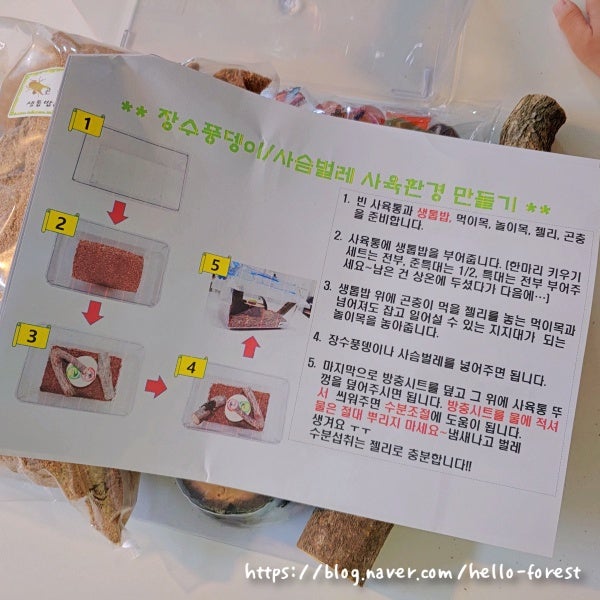 장수풍뎅이 키우기 장수풍뎅이 성충 장수풍뎅이 암컷 장수풍뎅이 탐험북 장수풍뎅이 사육세트 장수풍뎅이 사육환경