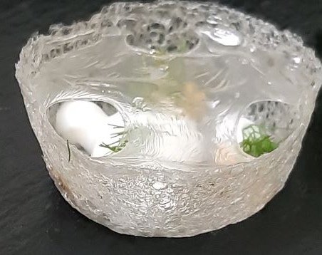 알버트 아드리아의 신박한 투명빵, 크리스탈 클리어 브레드 : 네이버 블로그