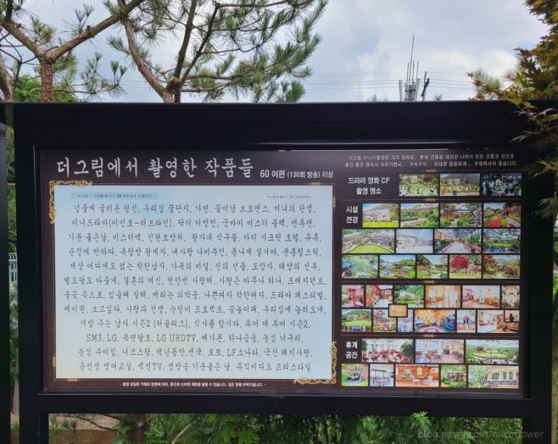 서울 근교 가볼만한곳 식물원카페 양평 더그림 네이버 블로그