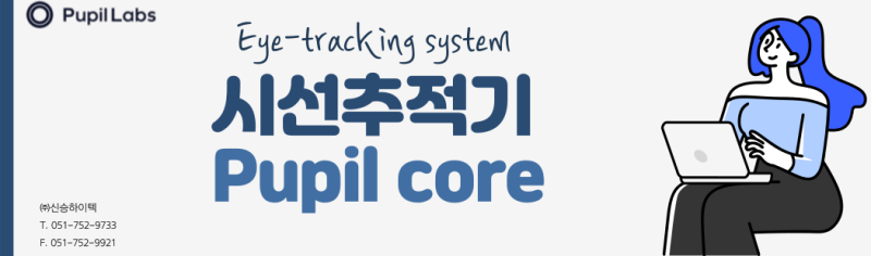 시선추적기/Pupillabs/Pupilcore/Eye-tracking : 네이버 블로그