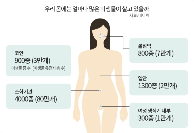 신약개발부터 암진단까지 Ngs 유전체분석한국의과학연구원 마이크로바이옴센터 네이버 블로그