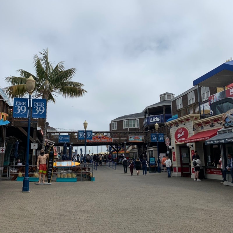 샌프란시스코 And 요세미티 여행 4일차 Pier 39 금문교 소살리토 기라델리 초콜릿 공장 루프탑 바 추천 네이버 블로그