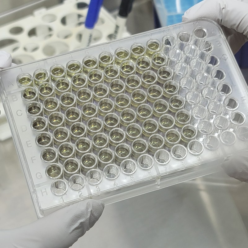 [LAB파토리 #3] 세포 독성 Test / MTT Assay : 네이버 블로그