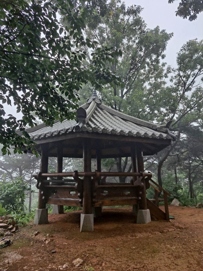 한남정맥 7 1구간 양지산 등산 코스 및 탐방기 네이버 블로그